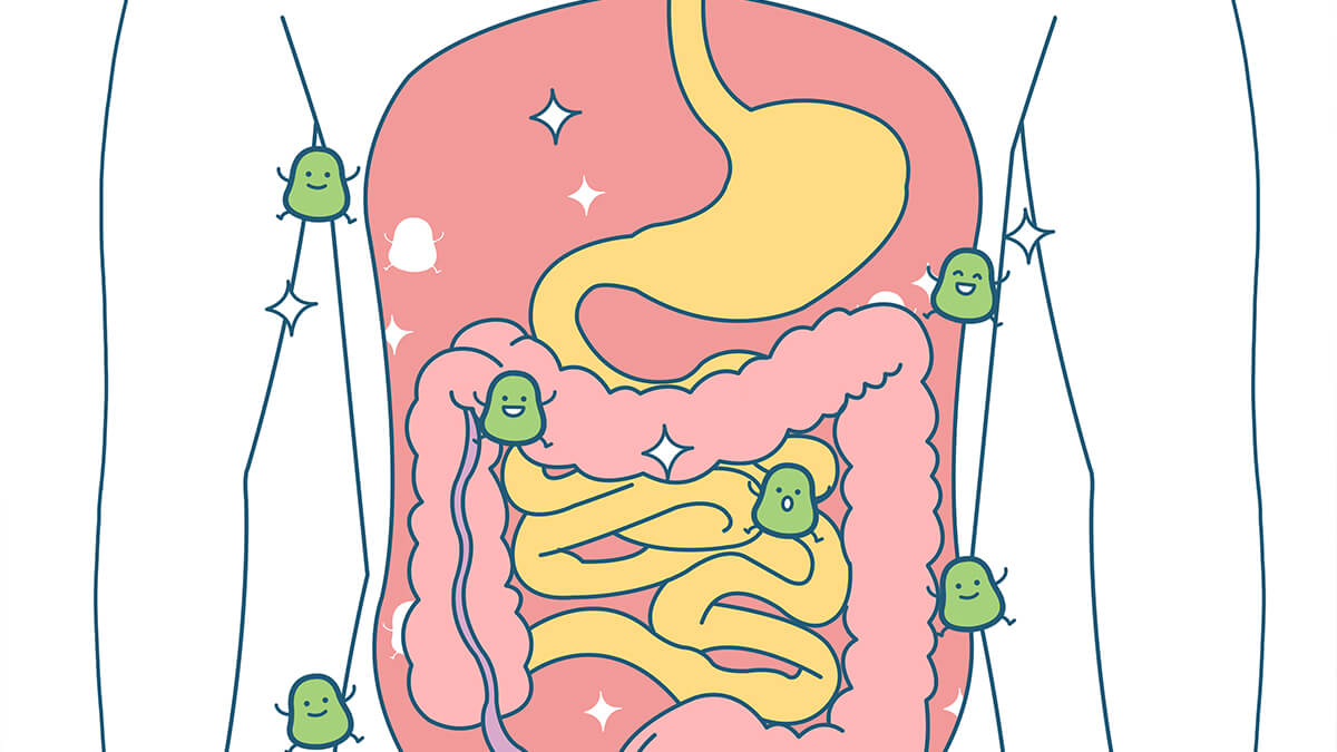 What’s a Fecal Transplant and When Is it Recommended? - You are Mom