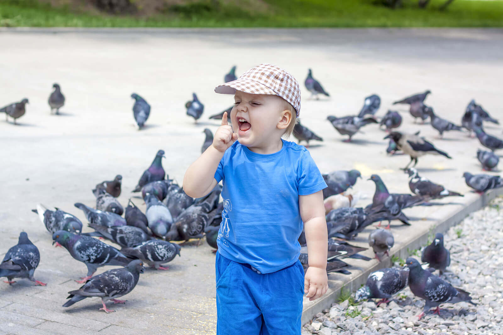 My Child Is Afraid of Birds: What Do I Do? - You are Mom