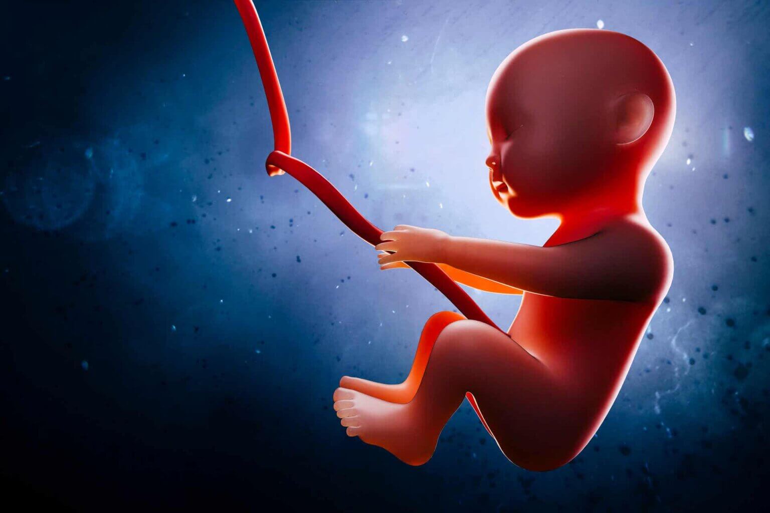 How a Baby's Lungs Are Formed - You are Mom